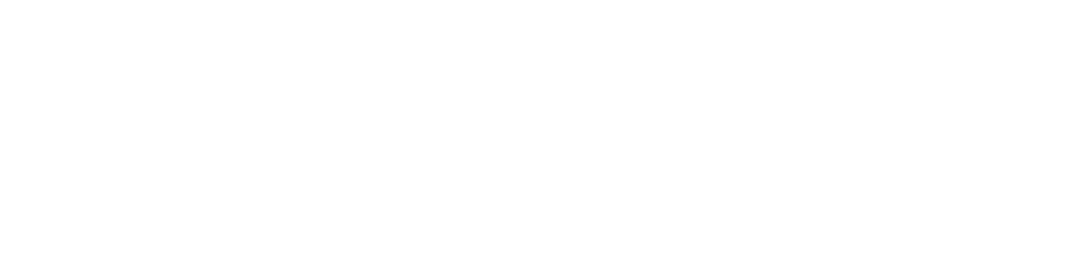 V2 Toadfly Professionals - Toadfly Professionals