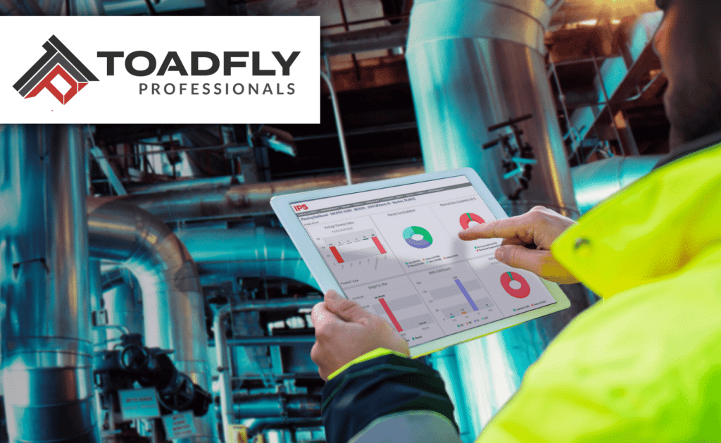 Toadfly Professionals - Toadfly Professionals